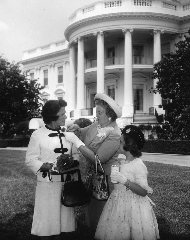 How the Auxiliary Poppy Program Benefits Veterans and Families – Harvey ...